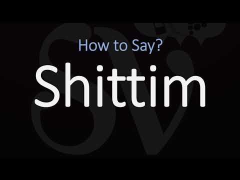 How to Pronounce Shittim? (CORRECTLY) Meaning & Pronunciation