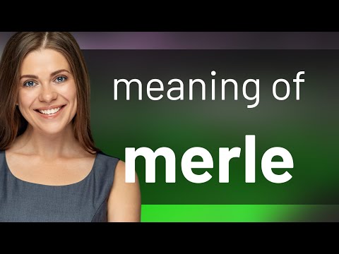 Merle • definition of MERLE