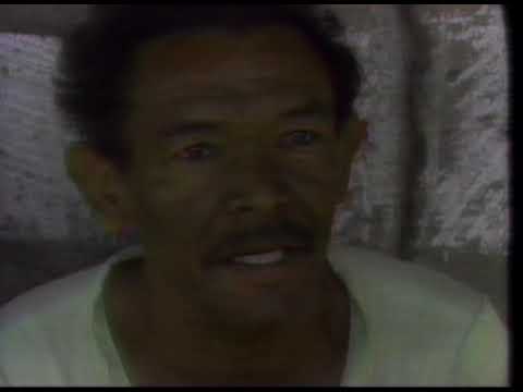 19870222 WGN Christian Science Monitor Reports