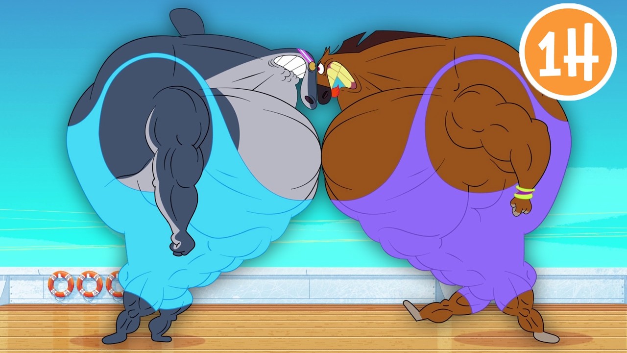 Bora fazer exercício! | Zig e Sharko | Desenho Animado em Português