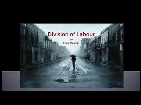 DIVISION OF LABOUR: DEFINITION, ADVANTAGES AND DISADVANTAGES