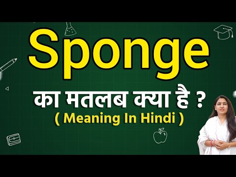 Sponge meaning in hindi | Sponge ka matlab kya hota hai | Word meaning