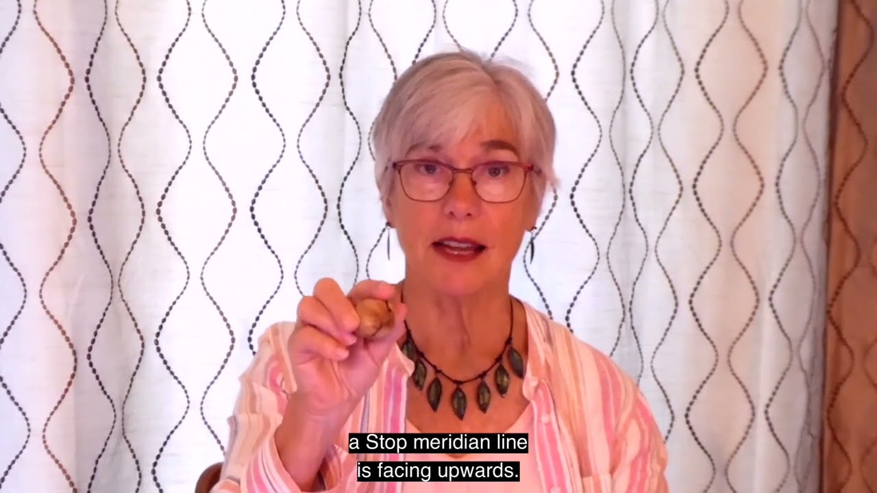 Capuchin Monkeys Using Tools: Knowledge in Action