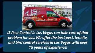 3 Best Pest Control Companies in North Las Vegas, NV - Expert ...