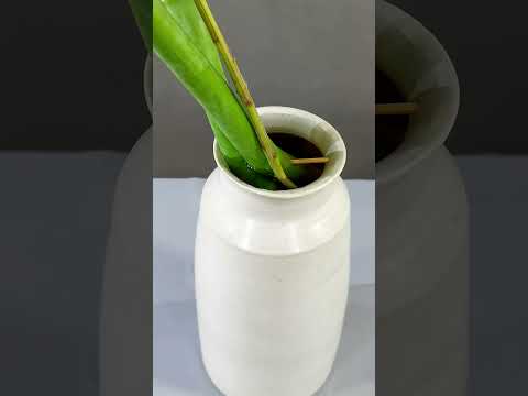 flower arrangement #florist #flowers #vase #tulip #diy #homedecor