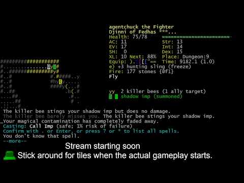 About the meaning of the word "Roguelike" and other rambling