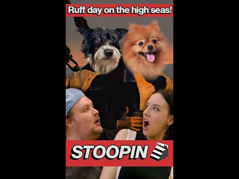 Stoopin' on Cruise Line for Dogs | #shorts | New York Post
