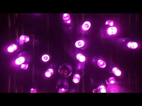 5MM LED Pink Twinkle Lights