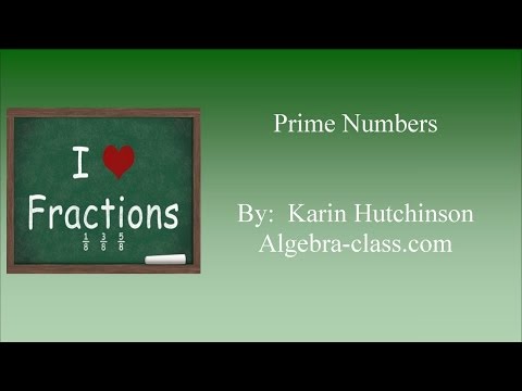 Prime Numbers