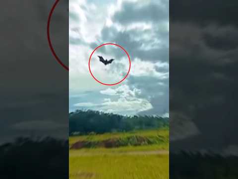 Type of mythical creatures😱 {Manananggal} #manananggal#viralvideo #shorts #trending#philippines