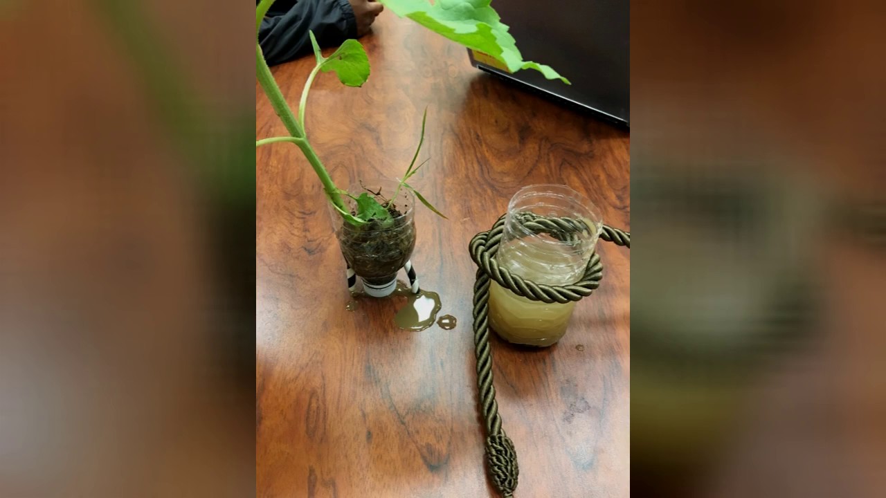 DECA idea challenge 2016, Bottle Pot