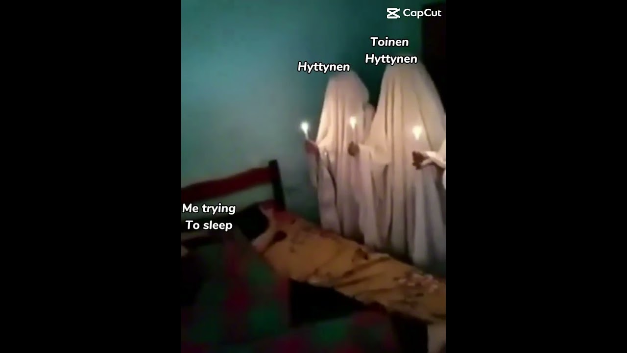 Mosquitos in summer 😭 and for the non Finnish people hyttynen means mosquito #memes #mosquito