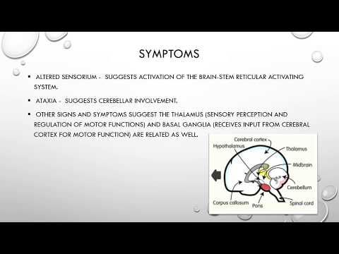 Bickerstaff Encephalitis