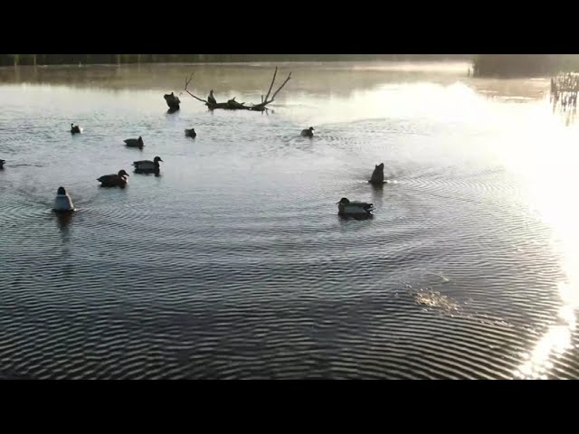 THE REAL DeCOY - Motorized Duck and Goose Decoys