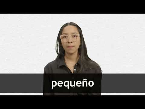 English Translation of “PEQUEÑO” | Collins Spanish-English Dictionary