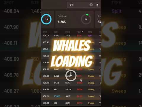 Whales are loading SPY puts AGAIN