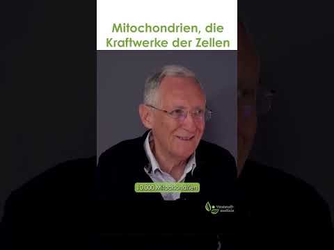 Mitochondrien - die Kraftwerke in den Zellen
