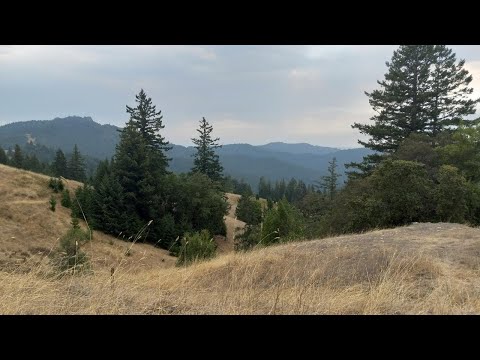 Fast Bicycle Descent; Lookout Point Highway 20 into Willits, California.