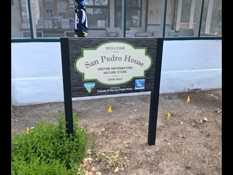 Hummingbird Banding Adventure at San Pedro House - Cochise County, Arizona
