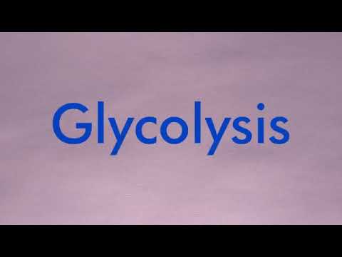 Glycolysis or EMP pathway
