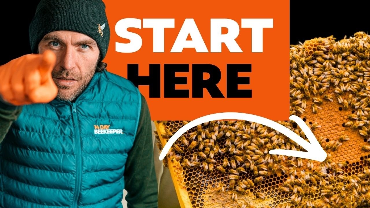 How To Start Beekeeping in 2026 | Simple Steps for New Beekeepers