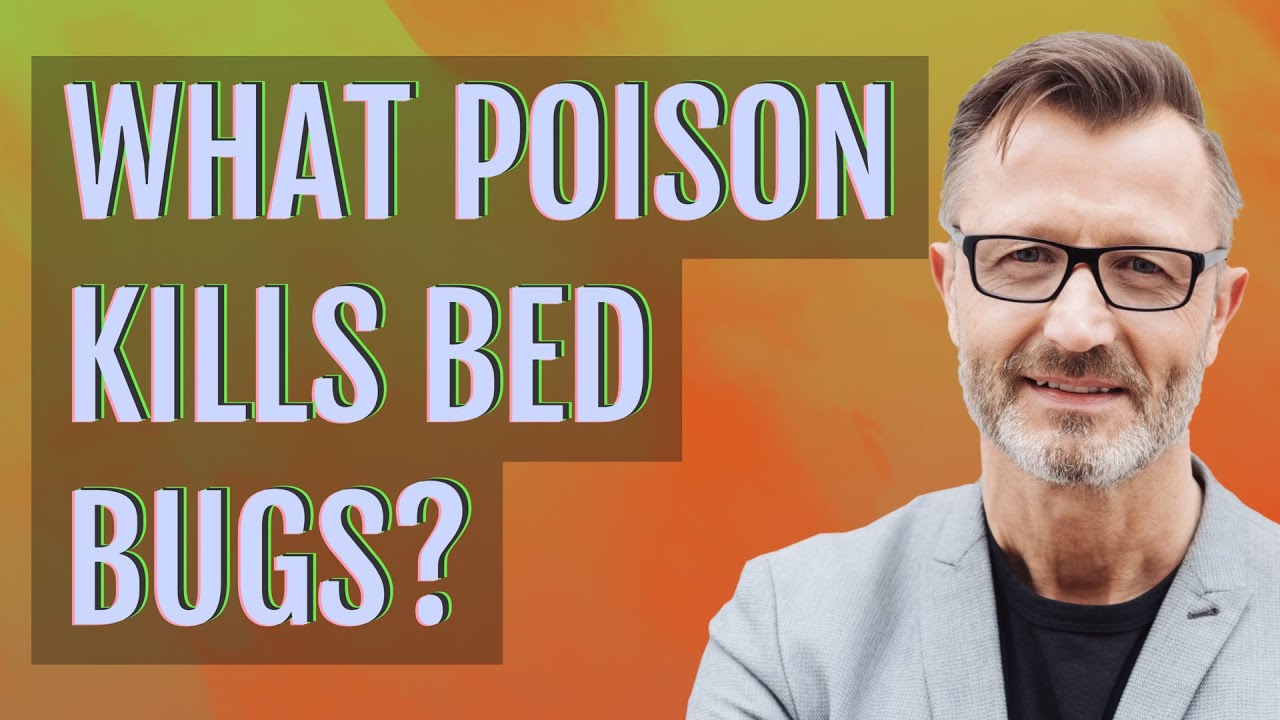 What poison kills bed bugs?