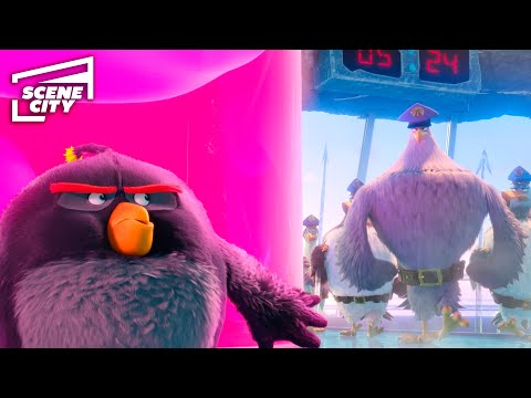 Bomb Distracts The Guards | The Angry Birds Movie 2 (Danny McBride, Bill Hader)