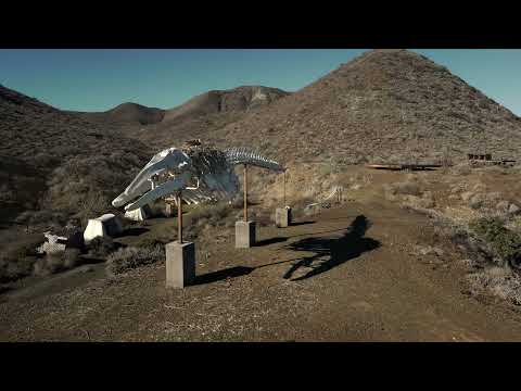 Vive la aventura en Isla Magdalena, Baja California Sur