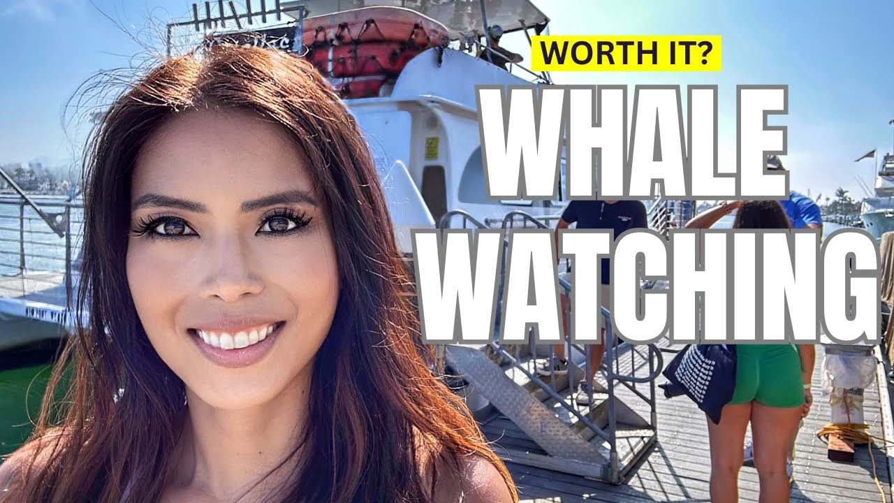 California Whale Watching 🐳 Is it worth it?