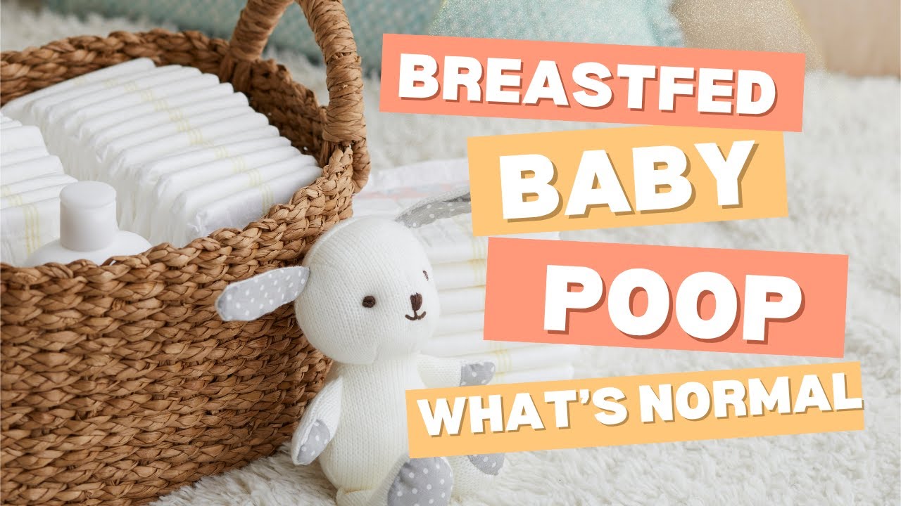Breastfed Baby Poop Variations Explained: When to Worry & When It's Normal