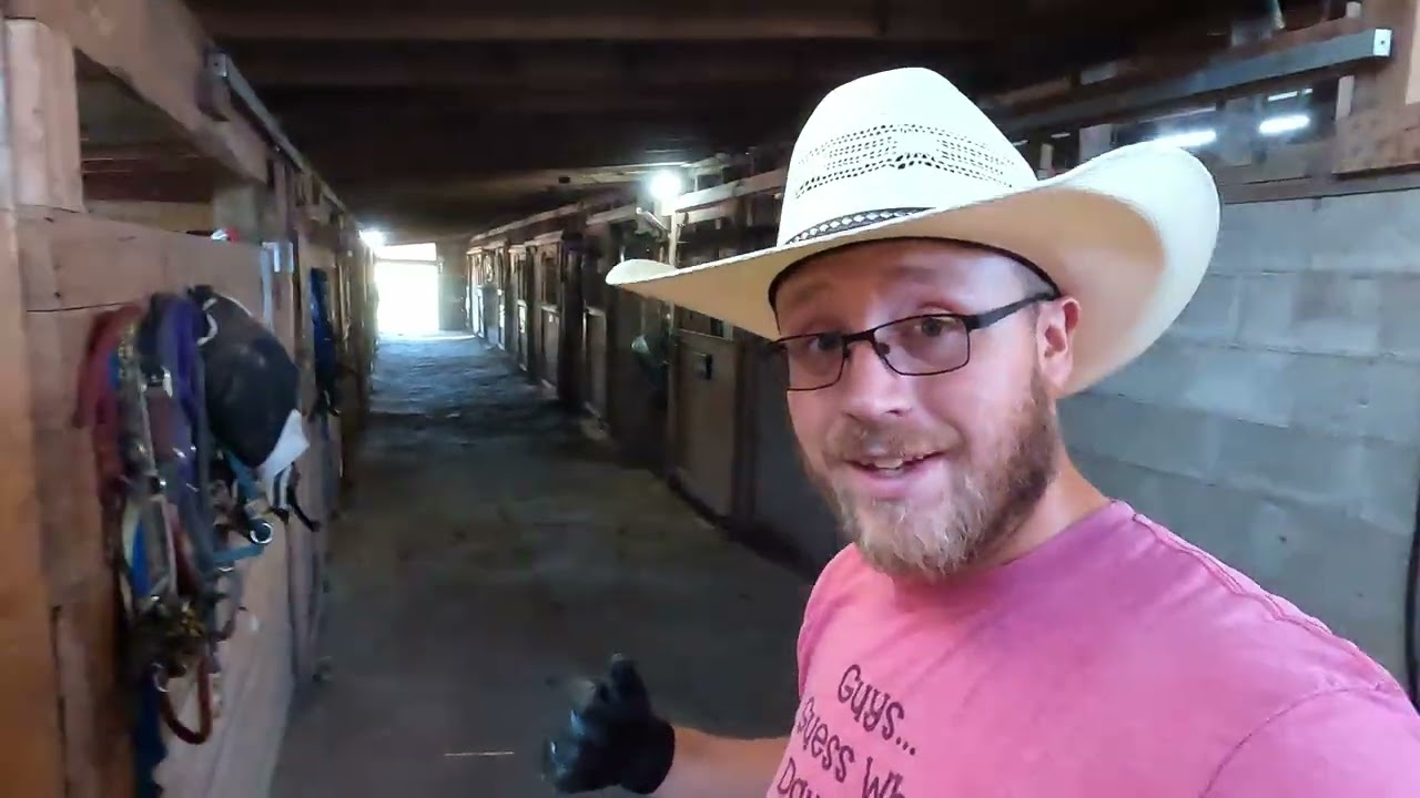 A DAY IN THE LIFE | MANAGING A HORSE BOARDING FACILITY