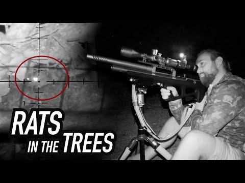 Clip on Night Vision | Commander NV100 16MM