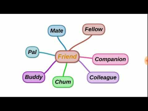 Synonyms of friend,chum,fellow,mate,pal,buddy,colleague,companion