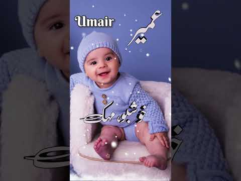 Umair(عمیر) Islamic Baby Boys Name With Meaning In Urdu Hindi #urdufact #boysname #ytshorts