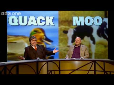 QI Preview - Which word is funnier Quack or Moo? - BBC