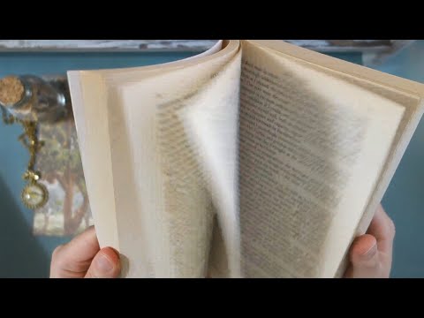 '90s Vintage Wordsworth Classics - Book Collection