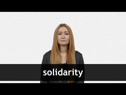 SOLIDARITY definition and meaning | Collins English Dictionary
