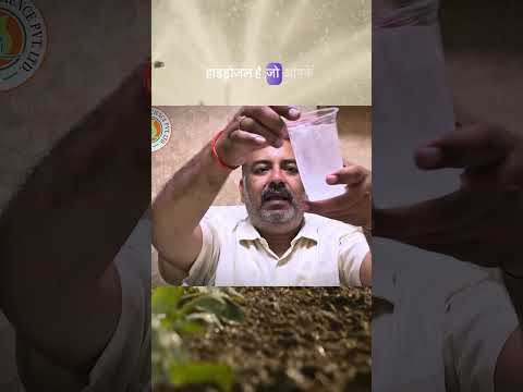 Revolutionary Hydrogel Technology: The Future of Soft Robotics #shorts #paaihydrogel #organicfarming