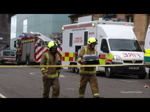Cat rescue. Glasgow school of art fire 2018