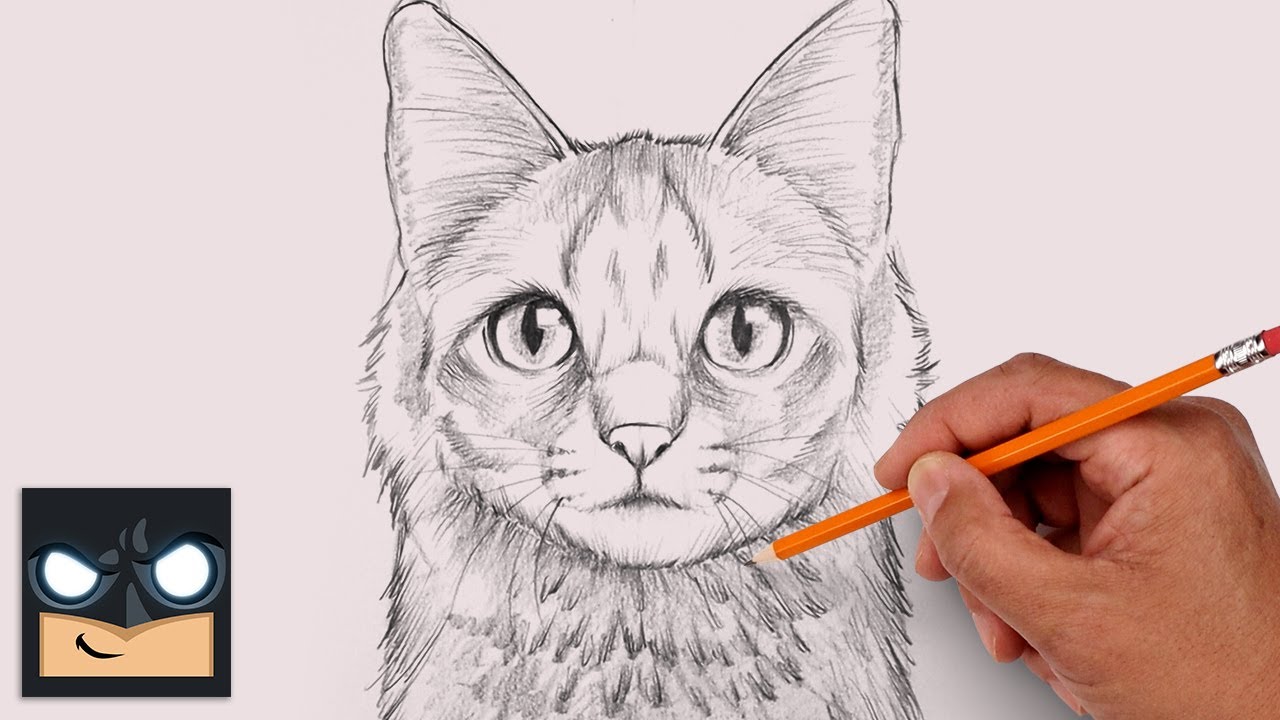 How to Draw a Cat | Sketch Saturday Tutorial