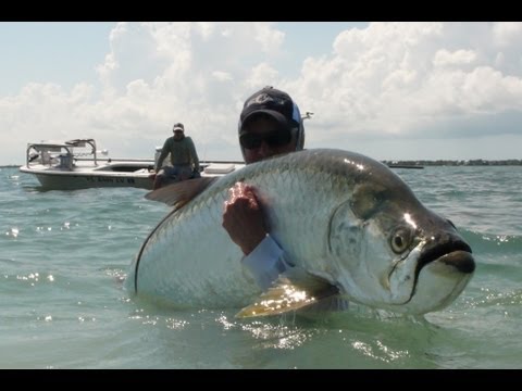 Large Tarpon fish in Marco Island Florida – The Captain's Mate