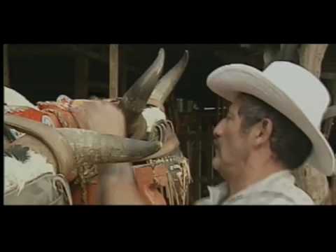 La tradición del boyeo y las carretas - patrimonio inmaterial - Sector ...