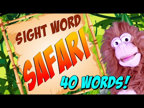 KINDERGARTEN SIGHT WORDS | 40 sight words pre-primer list