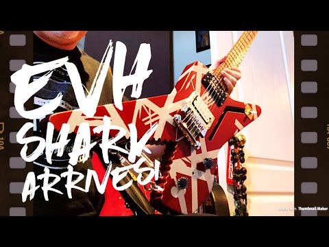 Evh Striped Series Shark iMuso