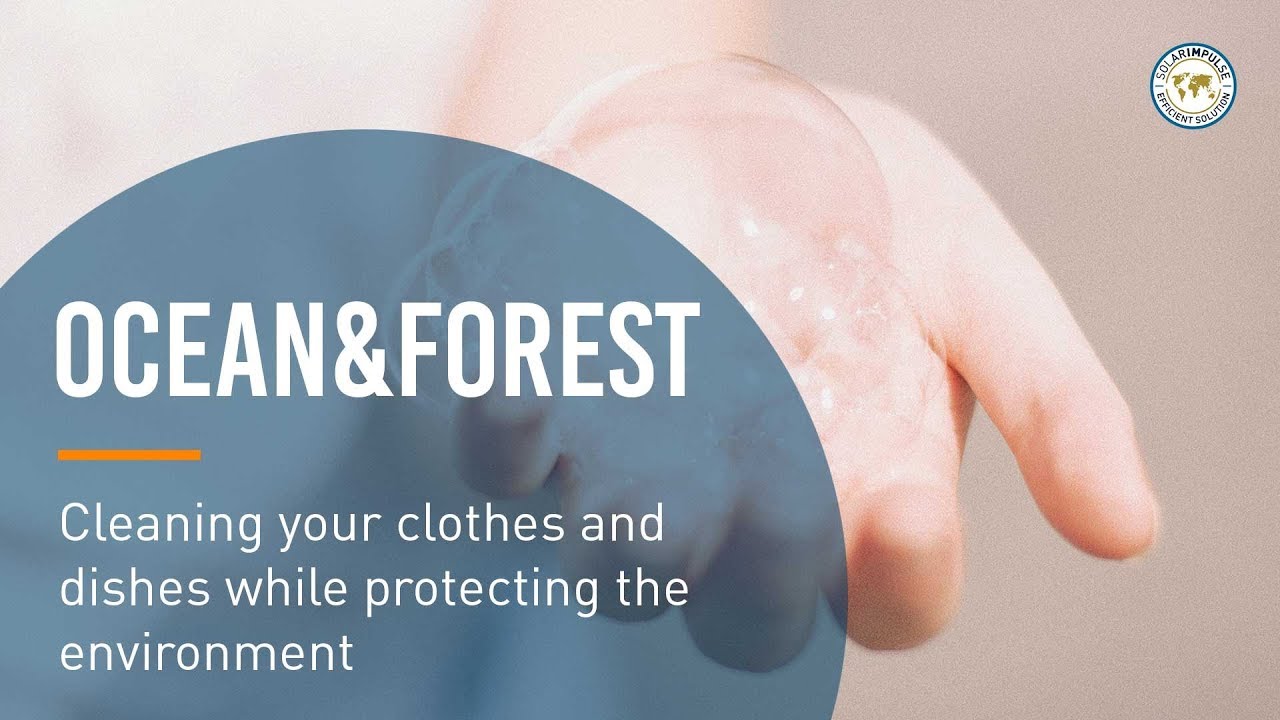 Ocean&Forest - #1000solutions