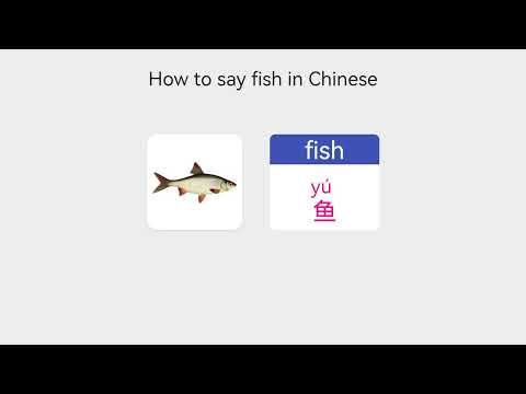 【Vocabulary Farm Animal Names】 How to say fish in Mandarin Chinese