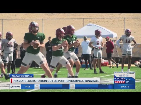 NMSU football on the hunt for a new QB in 2024