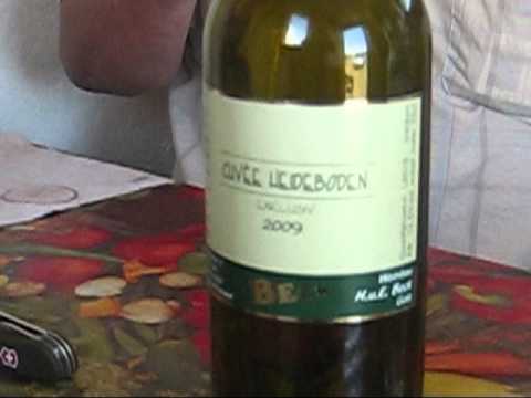 Wine Food Pairing - A Tasting with Hans Beck in Gols Austria