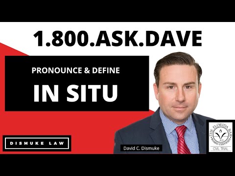 Properly pronounce and define in situ