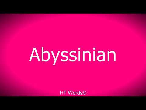 Pronunciation of Abyssinian